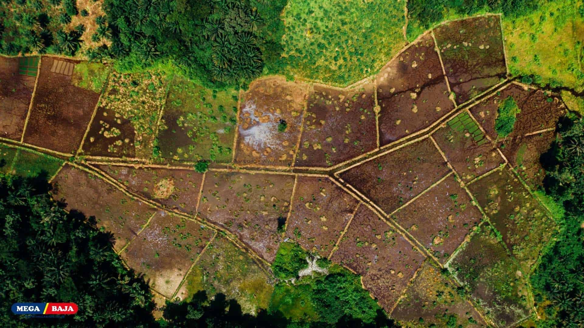 Mengenal Garis Sempadan Bangunan, Aturan Jarak dalam Membangun Gedung dan Perumahan